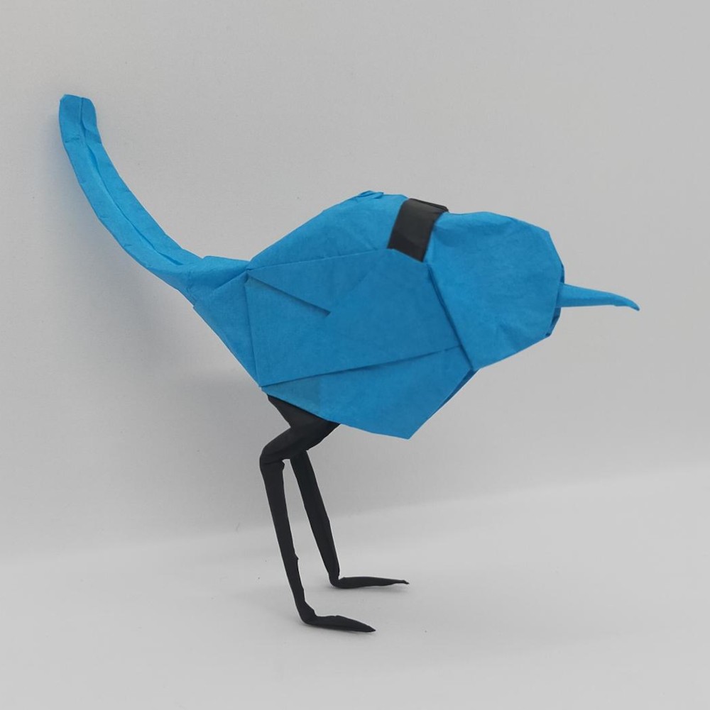 Plant Designs | Origami Taxonomy