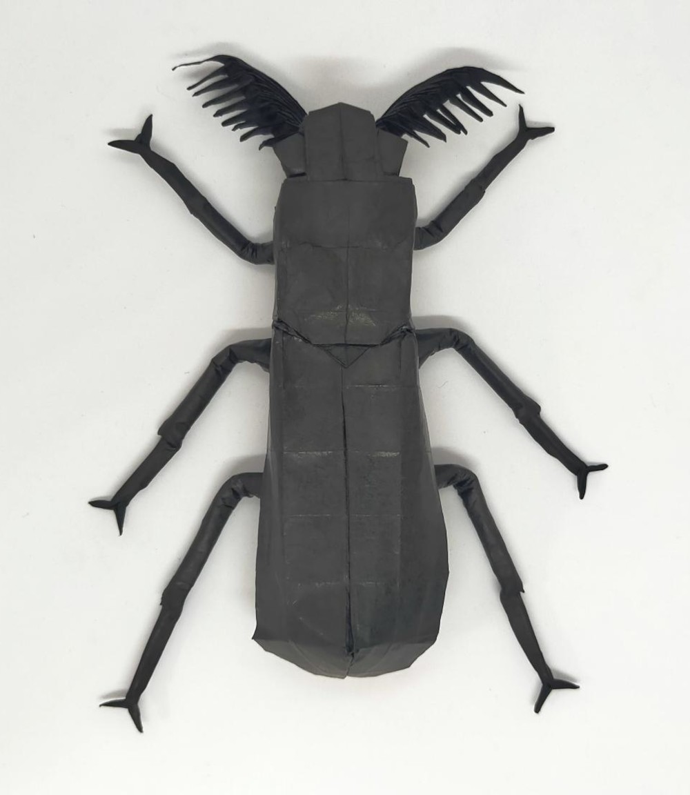 Gallery | Origami Taxonomy