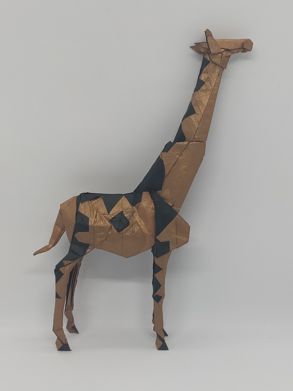 Gallery | Origami Taxonomy