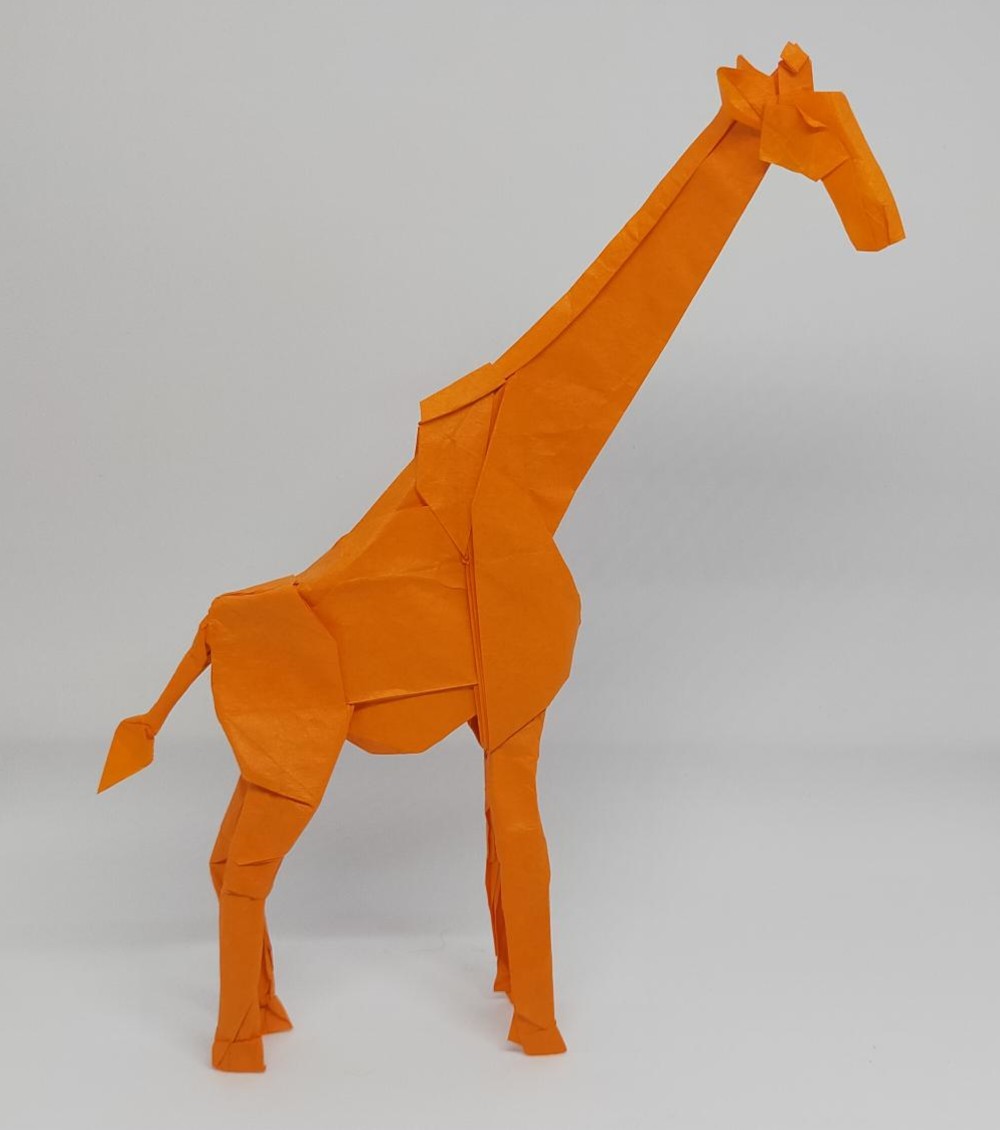 Gallery | Origami Taxonomy